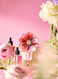 Wallflowers Fragrance Air Freshener Plug In | Bath & Body Works Canada